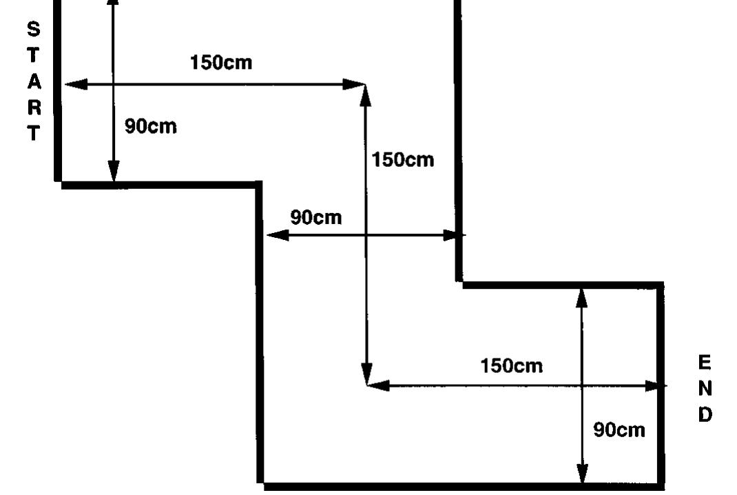 A diagram of the maze used in the programmable mobile robot