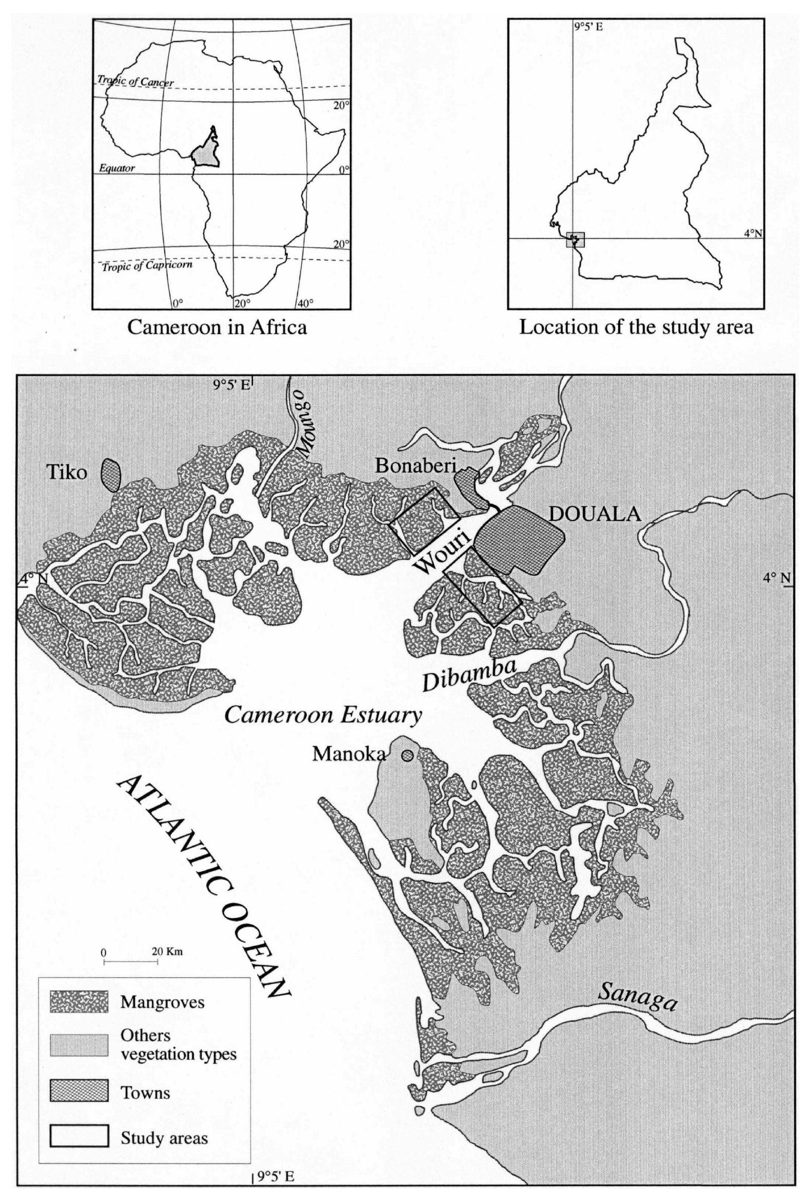 I. mangroves of the cameroon estuary (modified from din et
