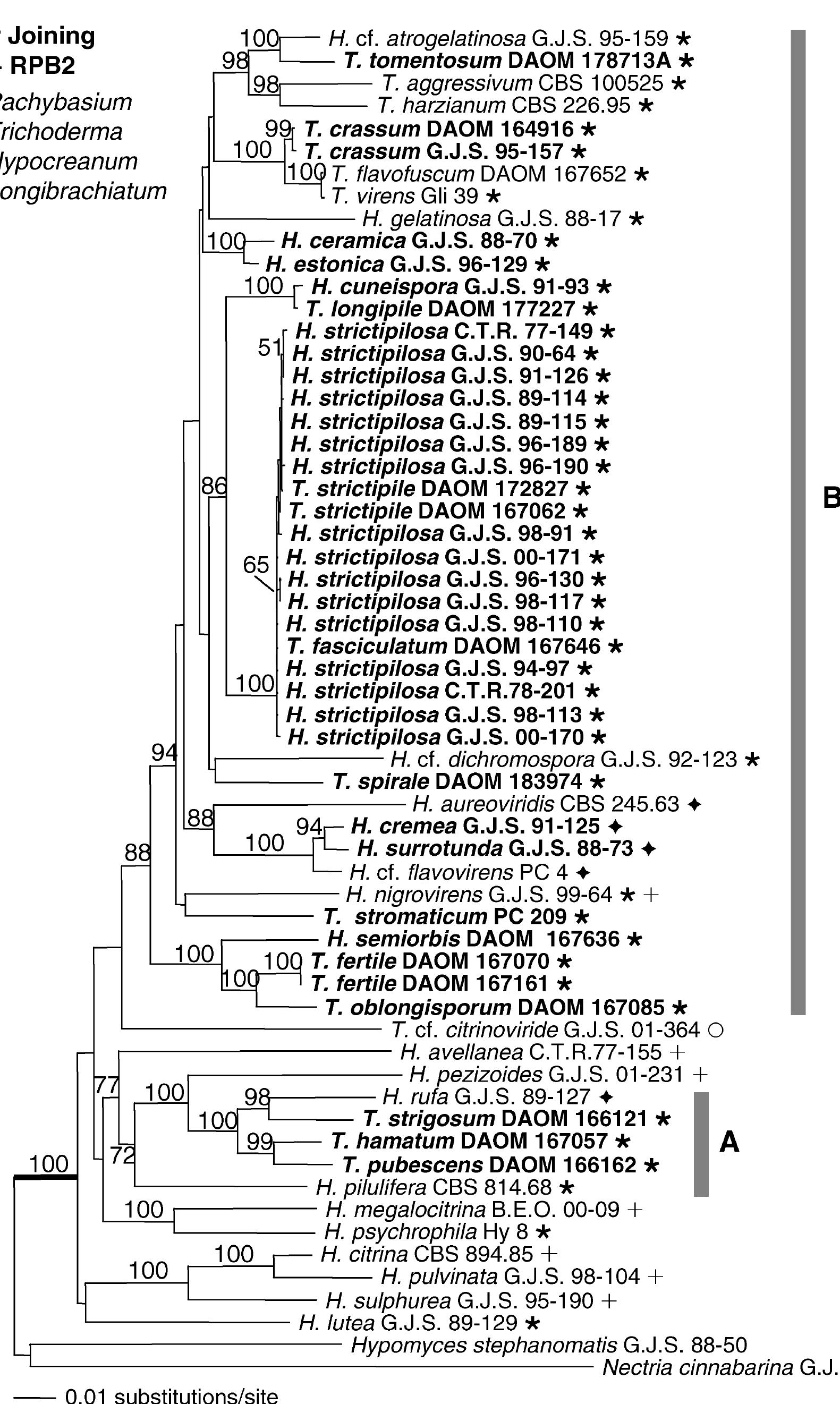 Fic. 6. combined rpb2 and ef-la neighbor-joining tree.