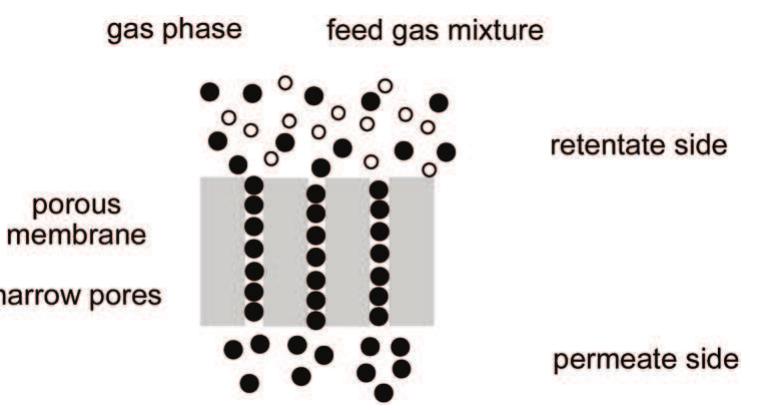 Simplified and schematic separation mechanism in porous