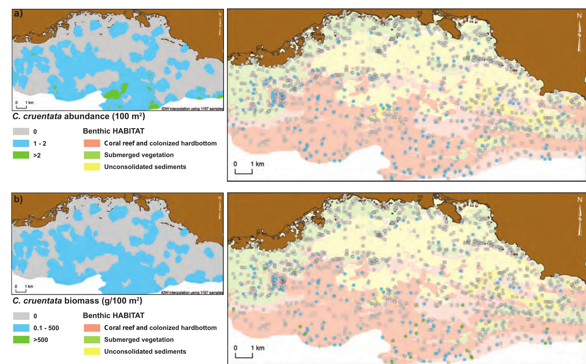 15. maps of the interpolated (left map) and spatial (right