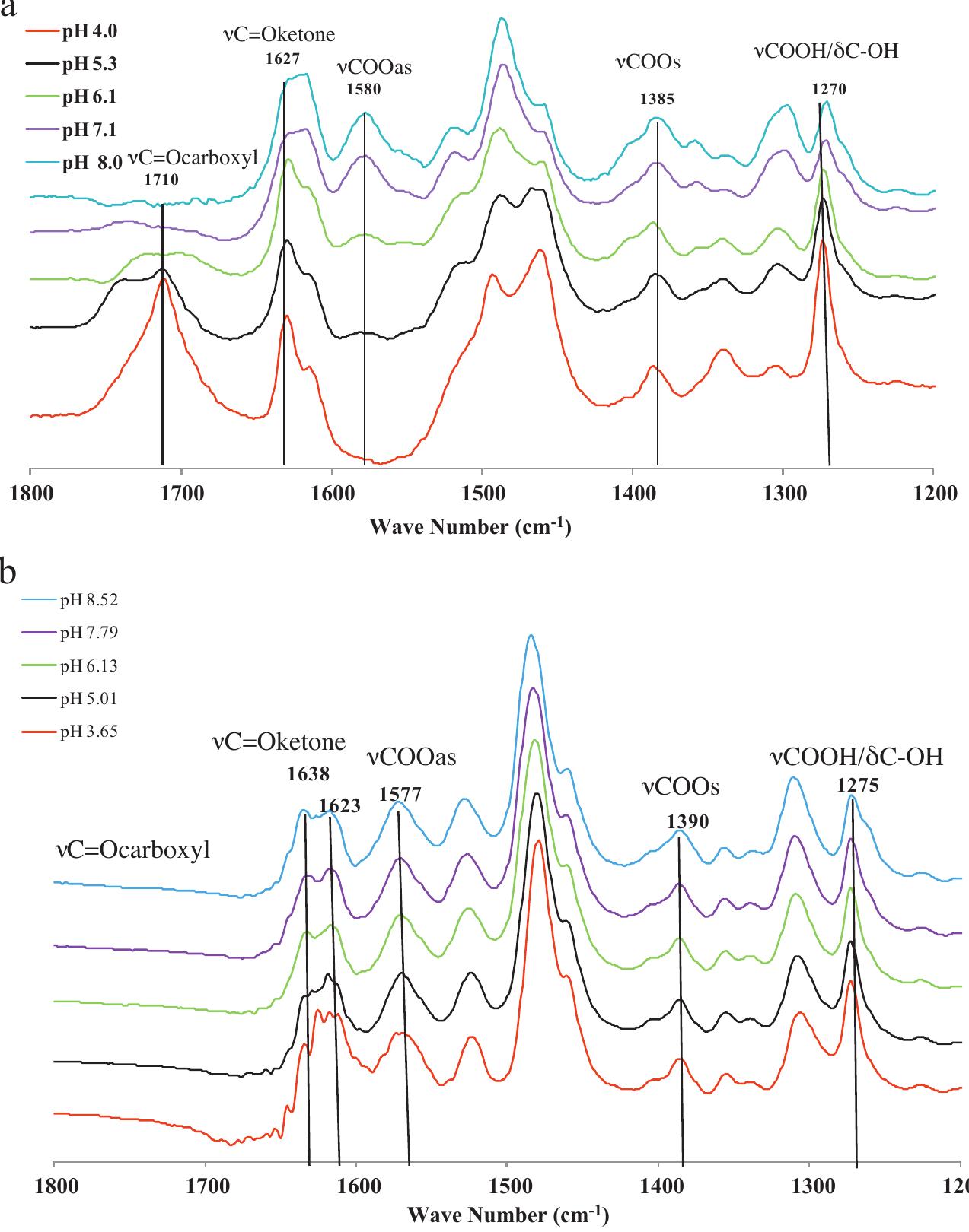 (a) in situ atr-ftir spectra of a 1mm aqueous ciprofloxacin