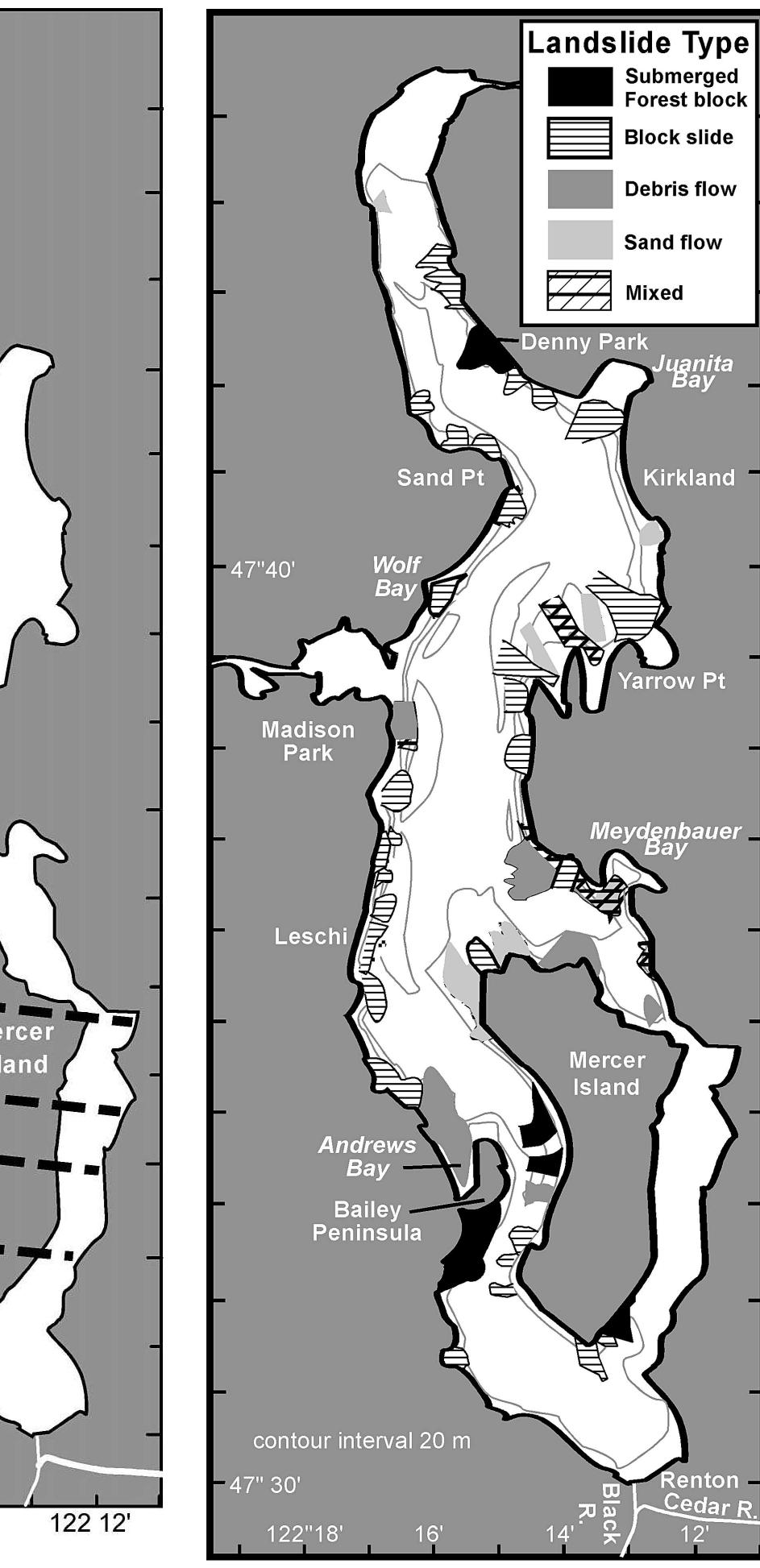Map of landslide distributions classified by type in lake
