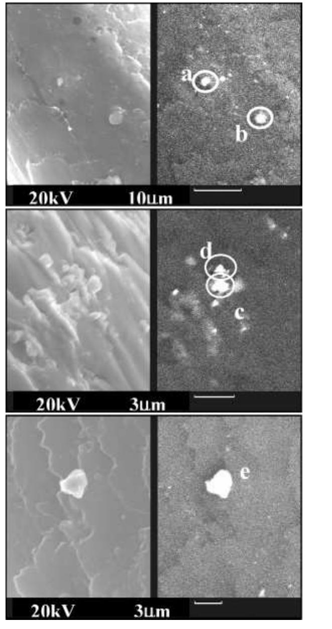Sem images and corresponding backscattered electron images