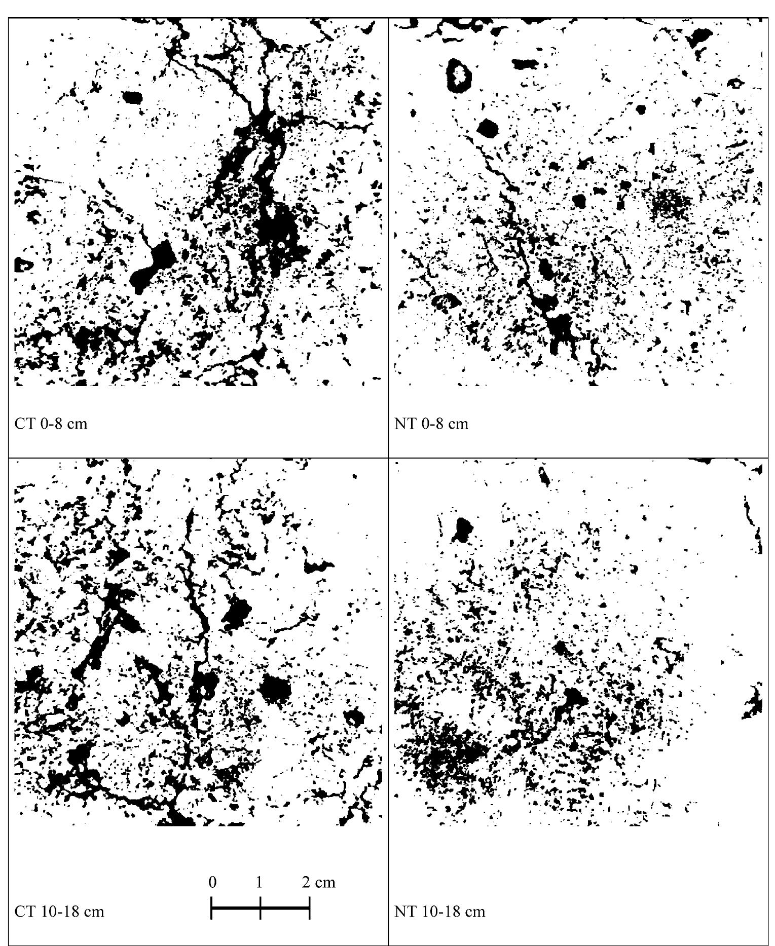 Examples of vertical plane (0-8 and 10-18 cm) pore space