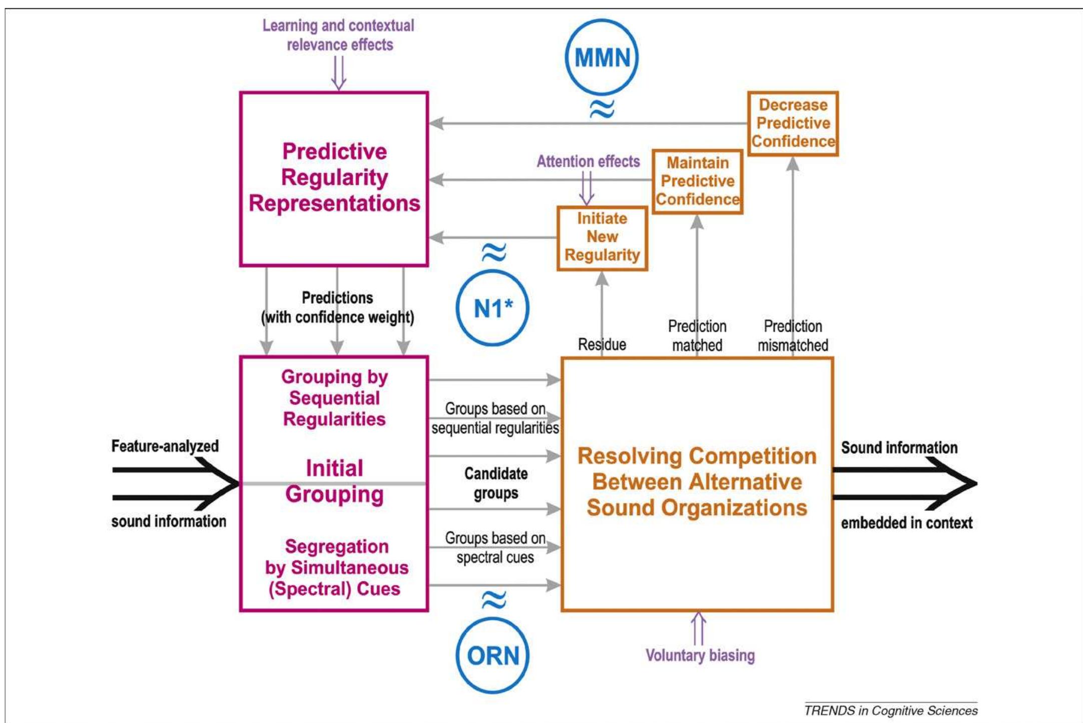 Box model of auditory scene analysis (asa). first phase of