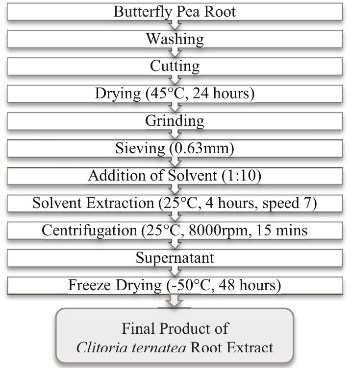 Flowchart of butterfly pea root extraction process. the