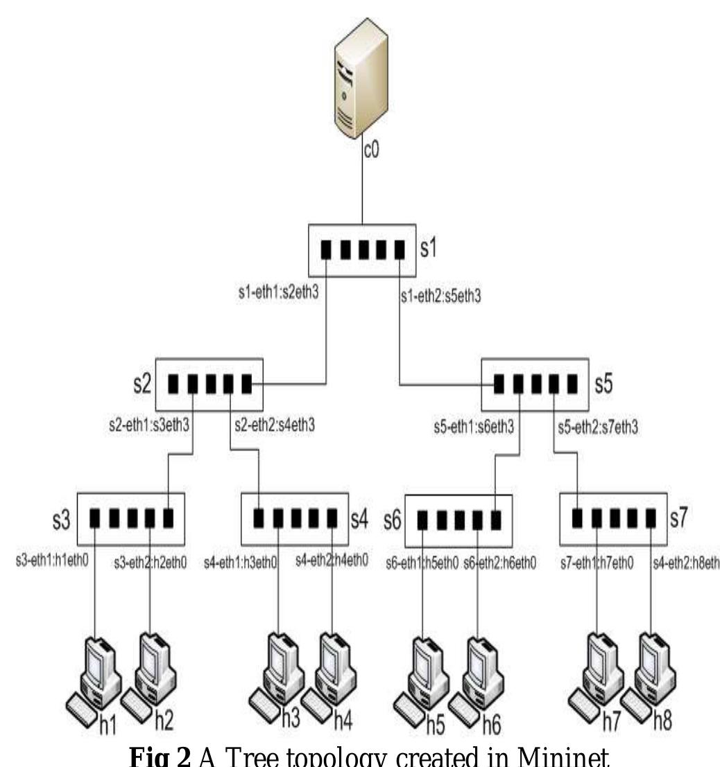 The topology created for the work is a tree topology with