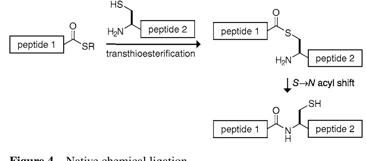 Currently, the most common ligation method is native