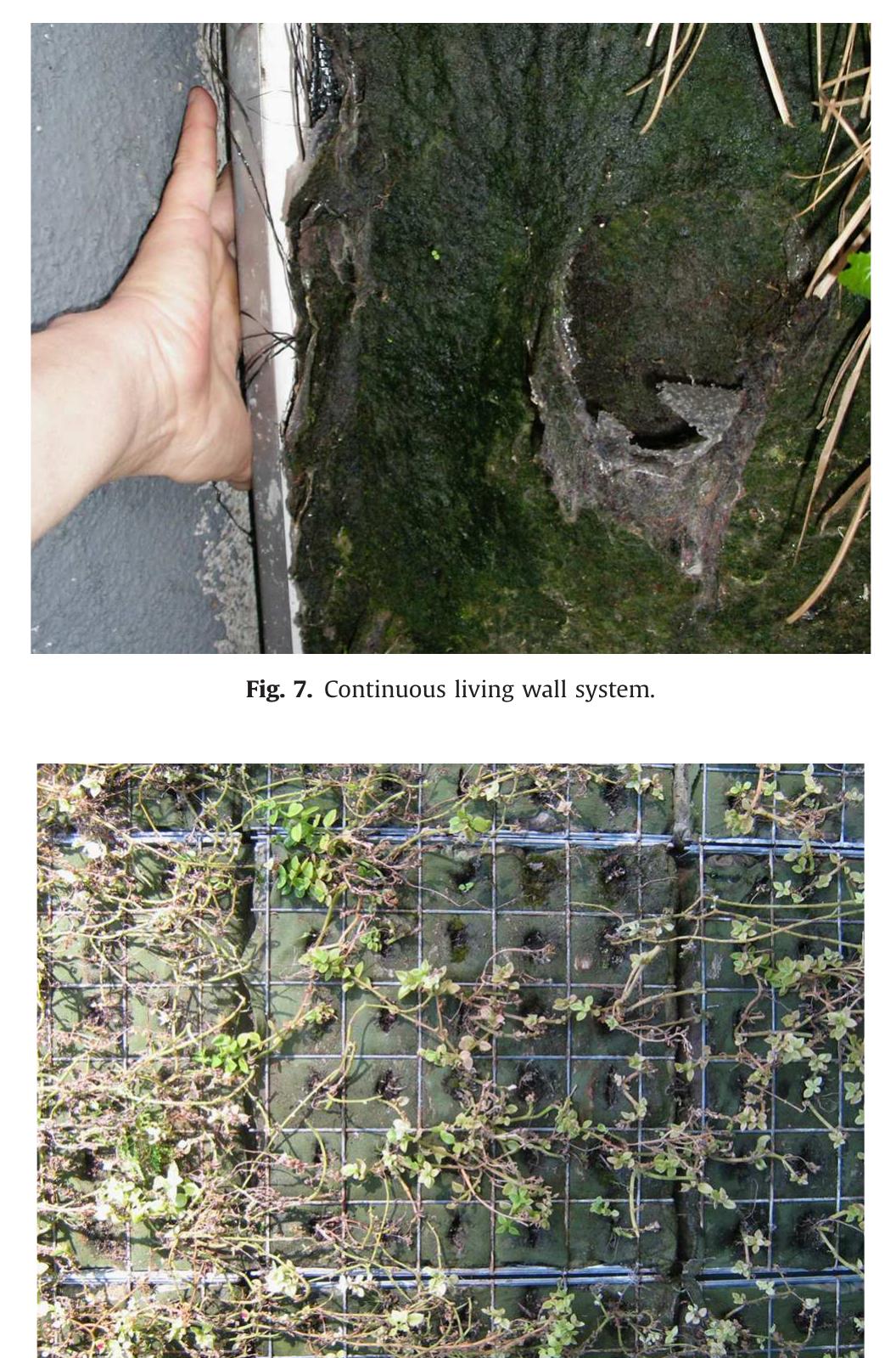 Modular living wall system.