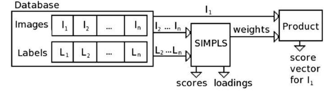 Function Diagram Of The Feature Extraction Method Based On