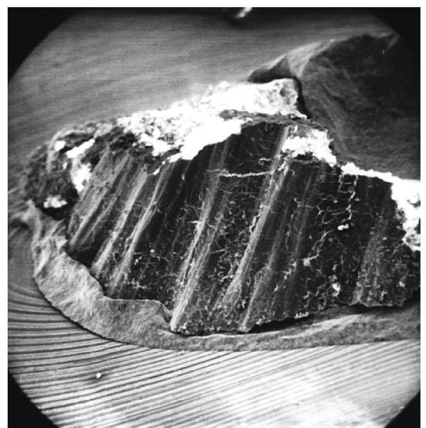 An sem photo of a laboratory-produced shatter cone (image