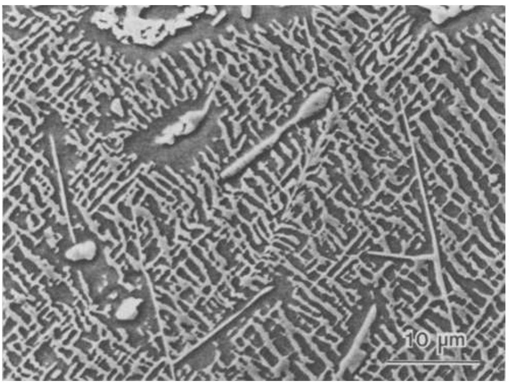 scanning electron micrograph showing the intragranular,