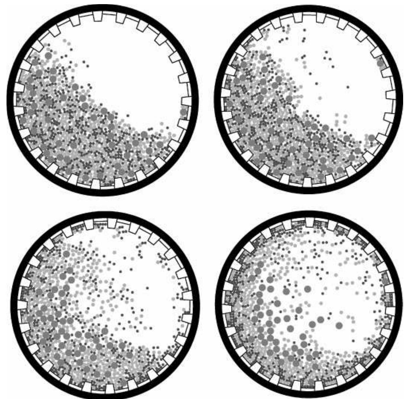 Segregation state of the charge after 60s of motion for: (a)