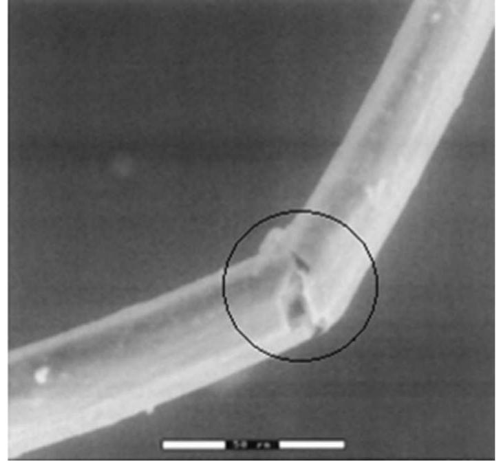 Tensile fracture initiates at kink band of an elementary