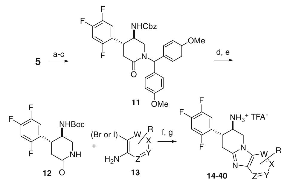 Synthesis of dpp-4 inhibitors 14-40. reagents and