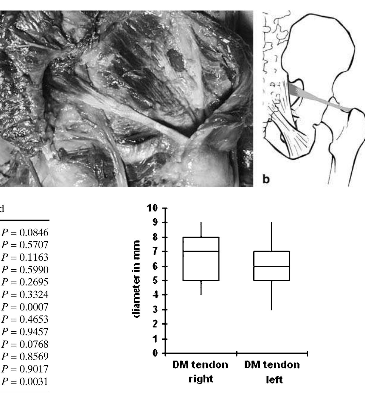 Results of the statistical evaluation shown as box plots:
