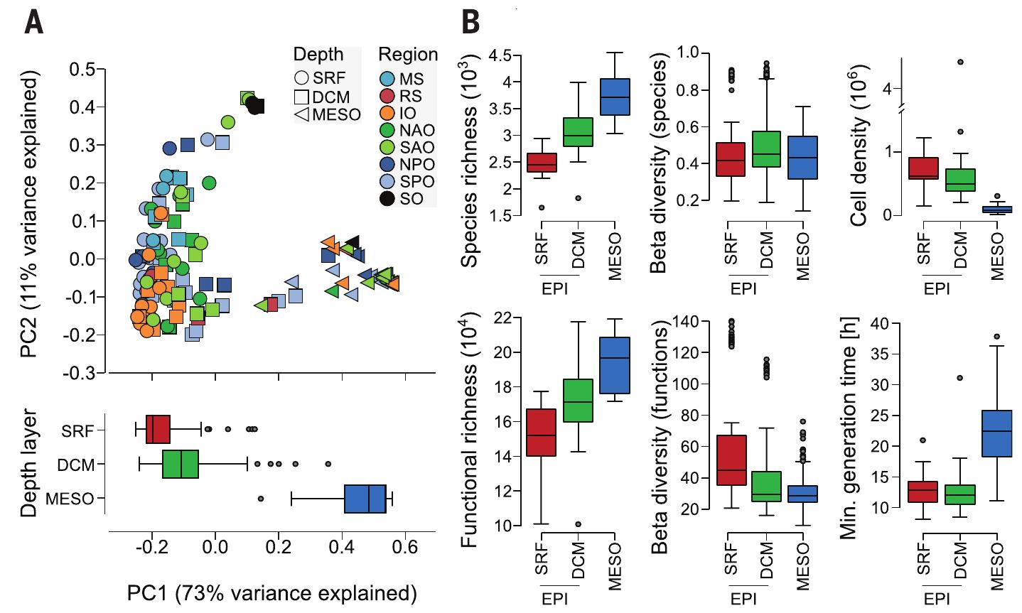 (PDF) Structure and function of the global ocean microbiome