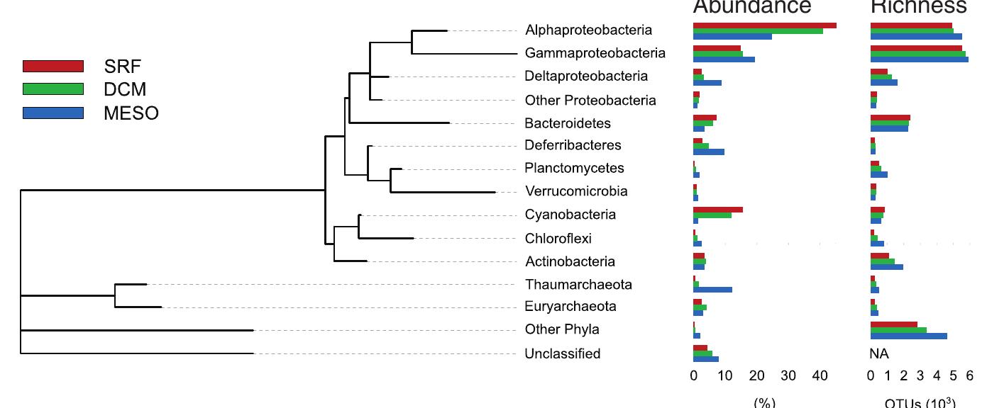 (PDF) Structure and function of the global ocean microbiome