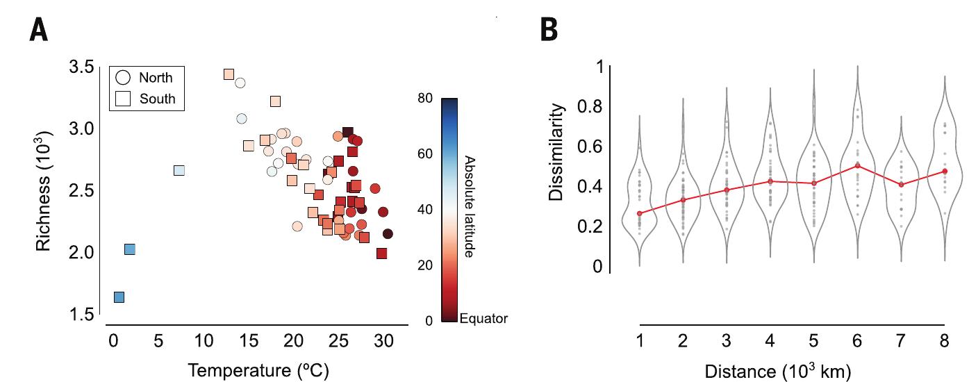 (PDF) Structure and function of the global ocean microbiome