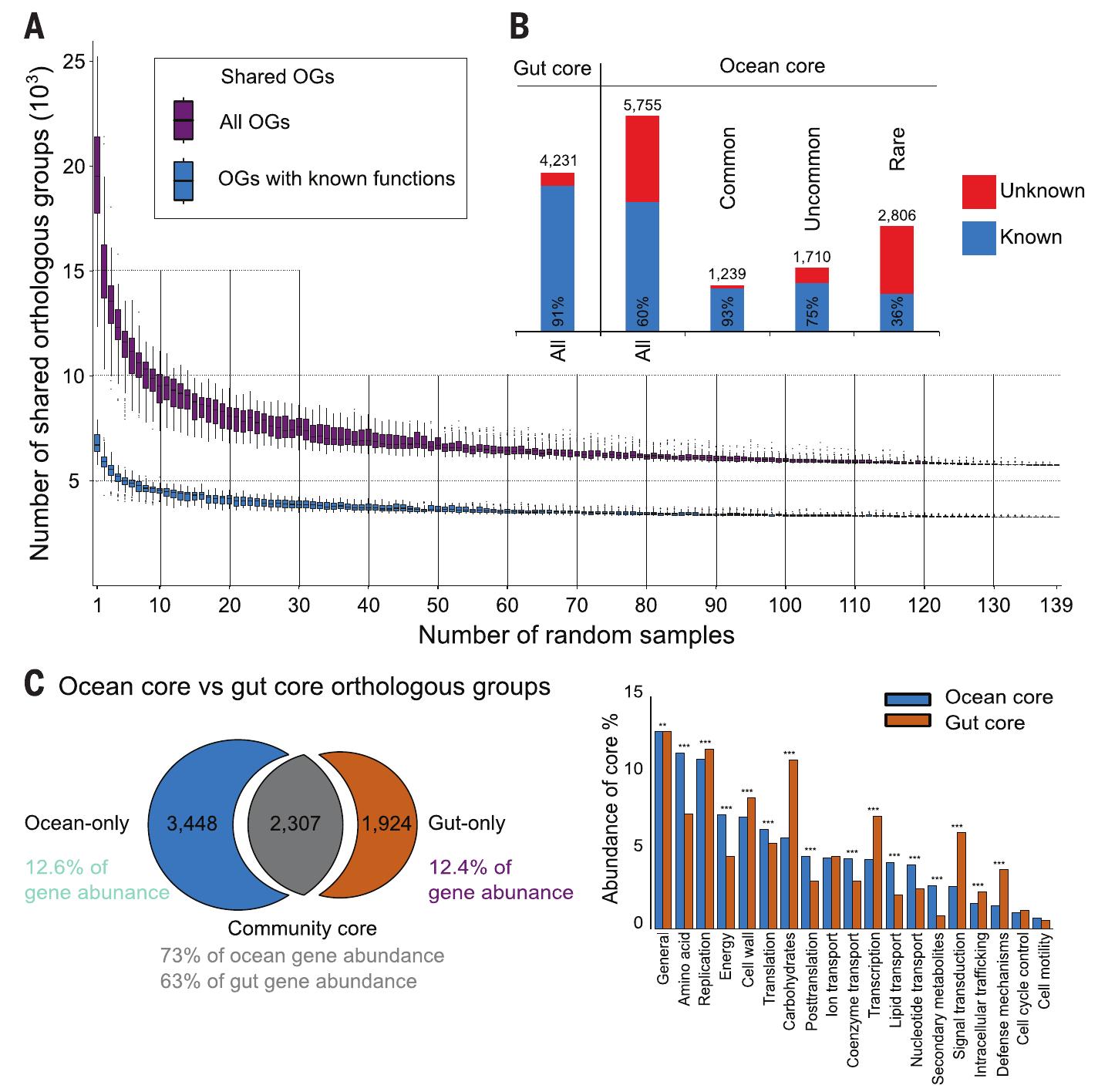 (PDF) Structure and function of the global ocean microbiome