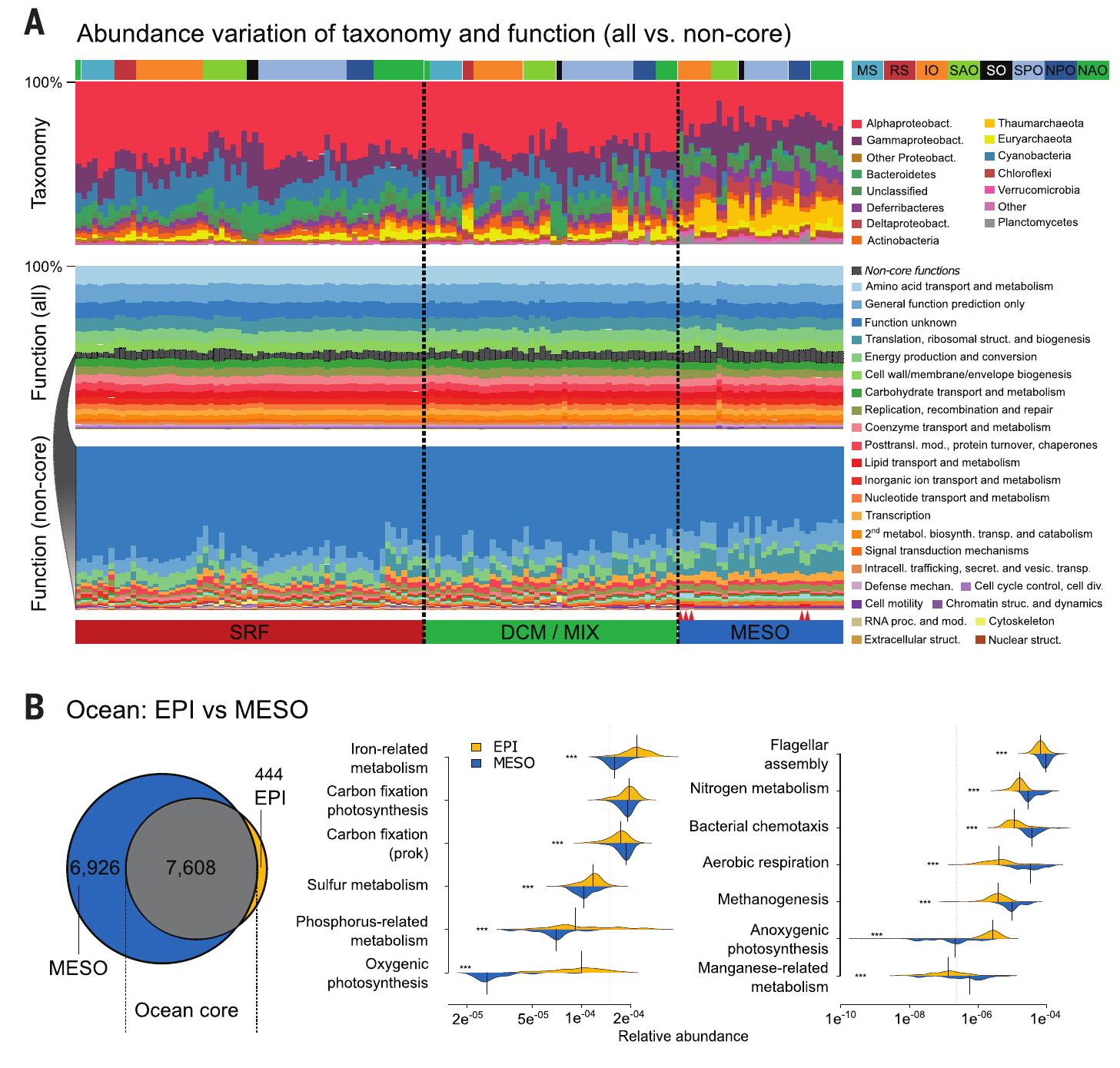 (PDF) Structure and function of the global ocean microbiome