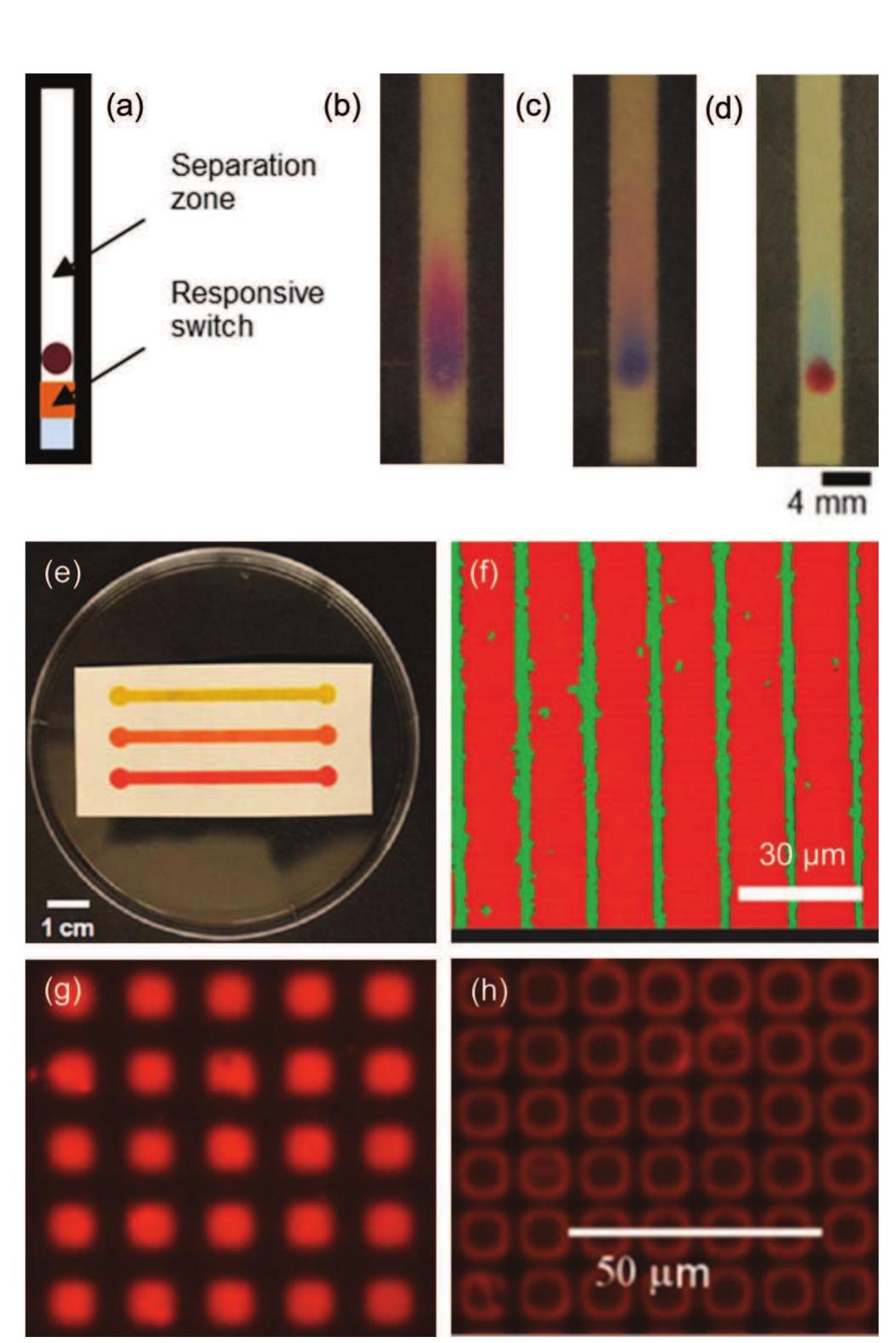 A) schematic of a paper-based microfluidic device consisting