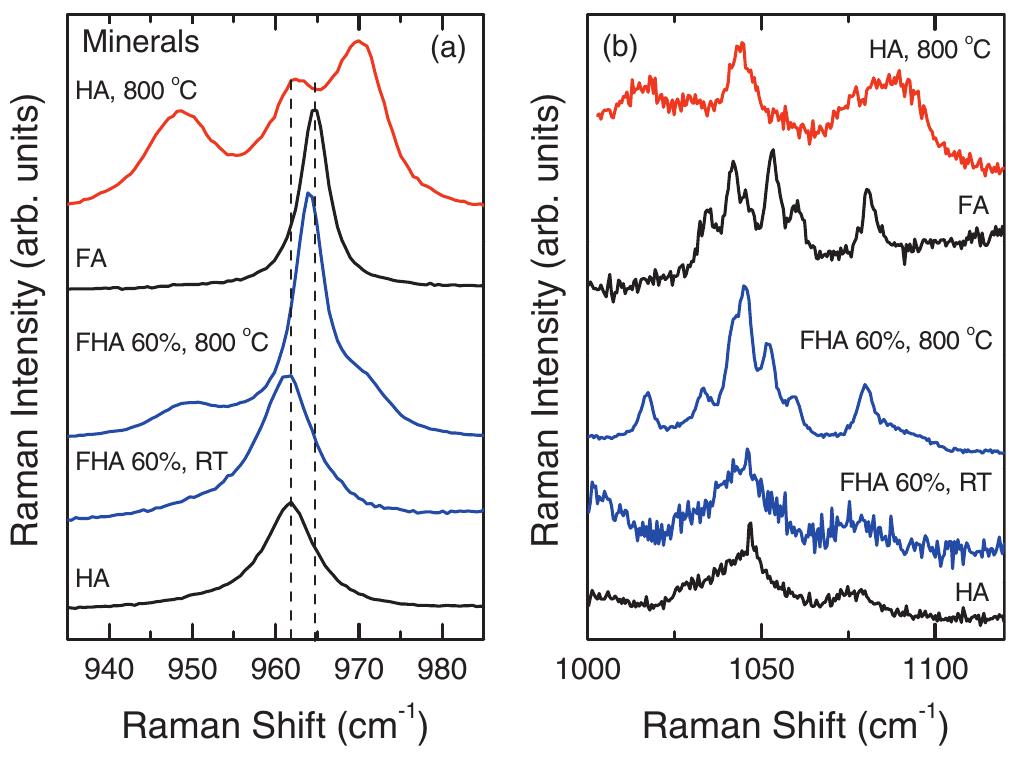 (blue curves) raman spectra of 60% fha before and after hea