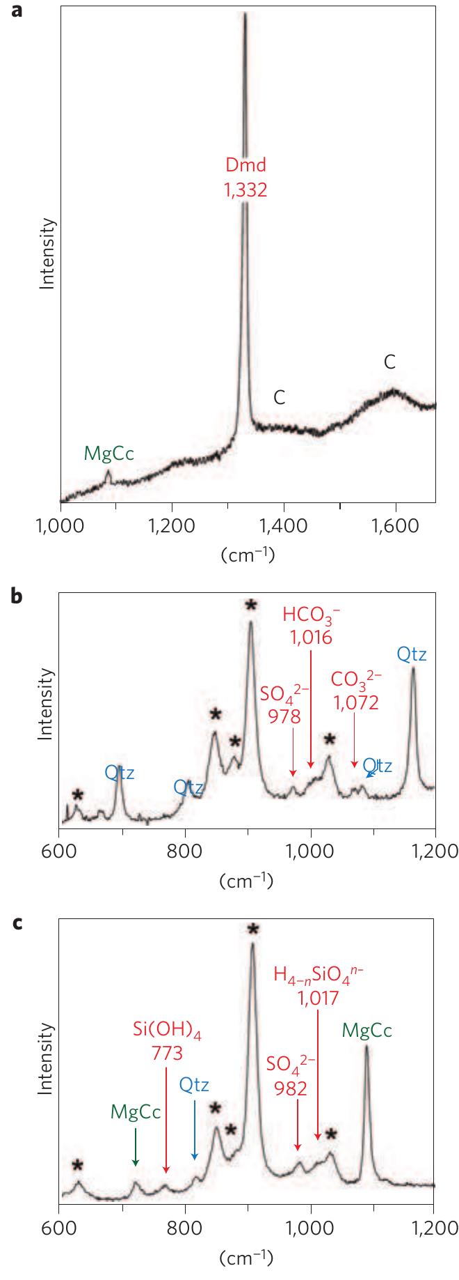 | examples of raman spectra from aqueous fluid inclusions