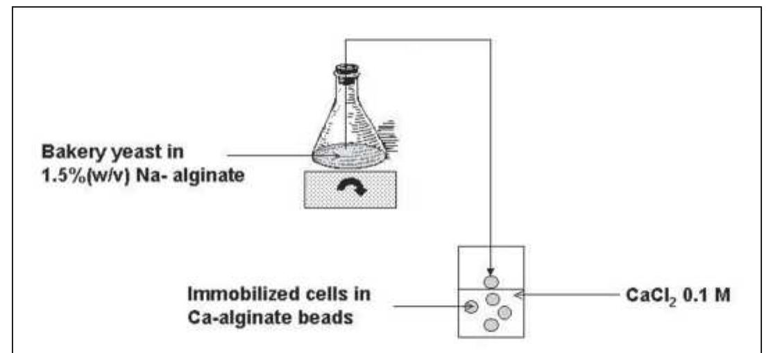 Figure 3 - A Simple Laboratory Exercise for Ethanol
