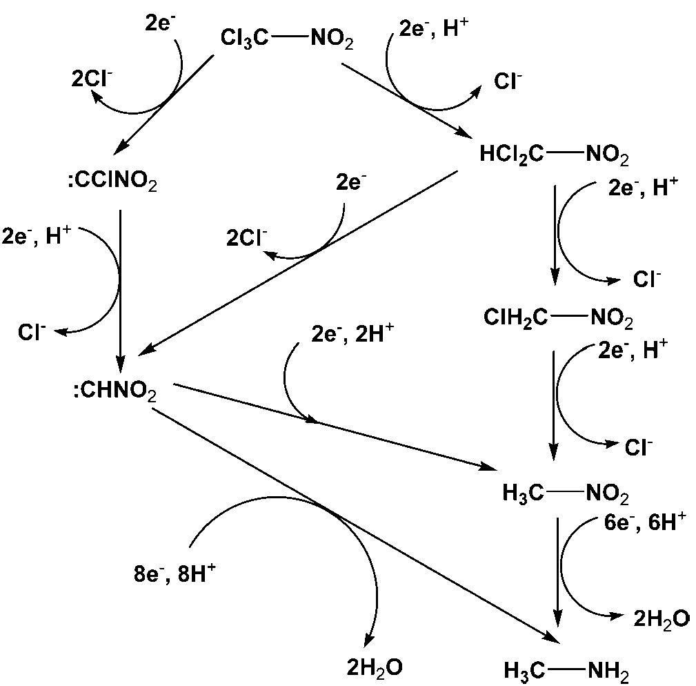 Proposed reaction pathways for the degradation of trichloro-