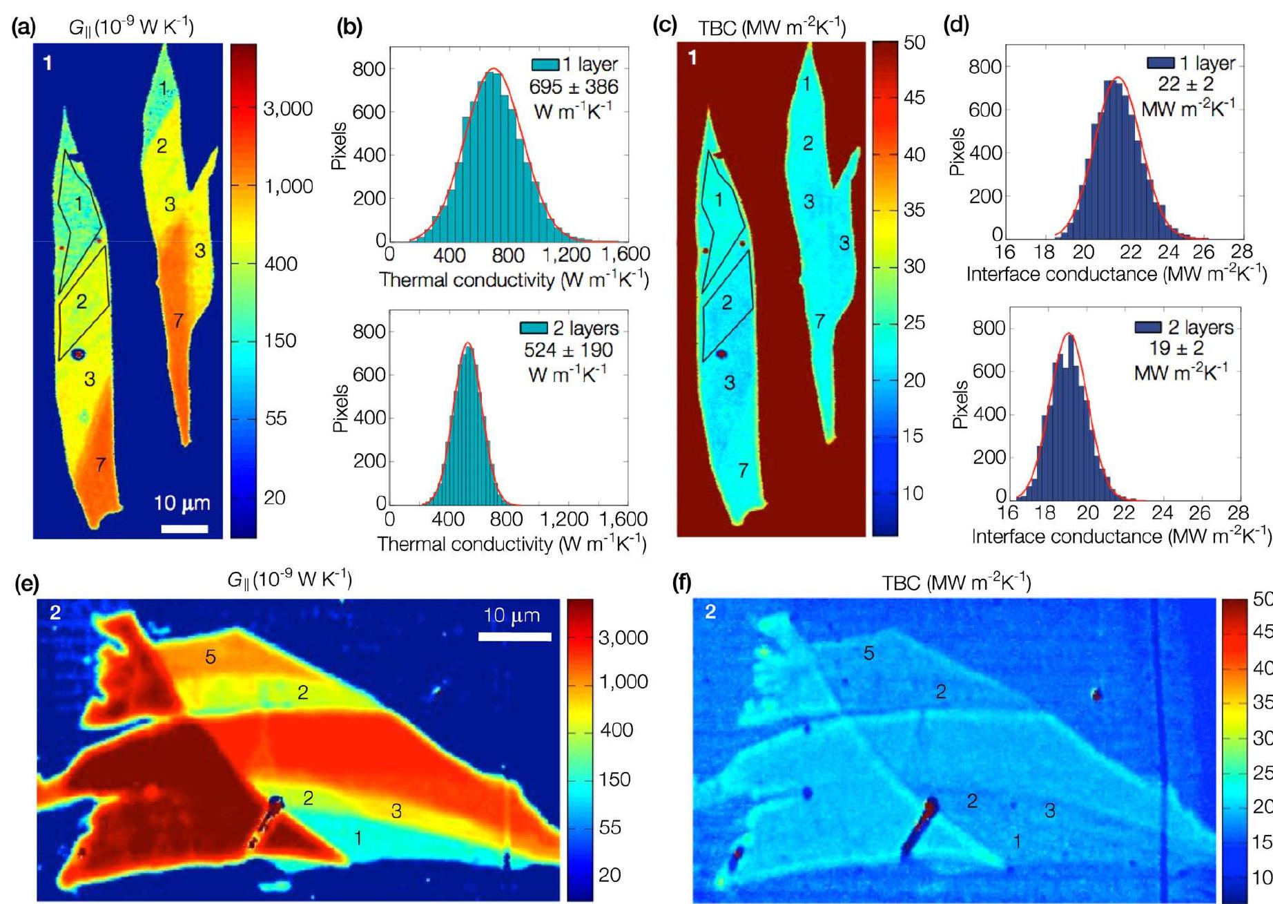 Thermal conductance maps of the two samples. (a) gy map of