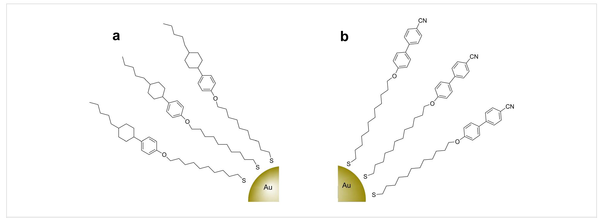 Schematic representation of pseudospherical au nps coated