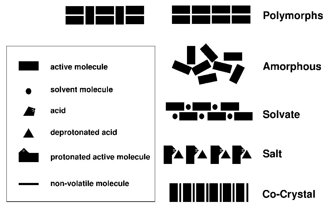 1 schematic depiction of various types of solid forms. most
