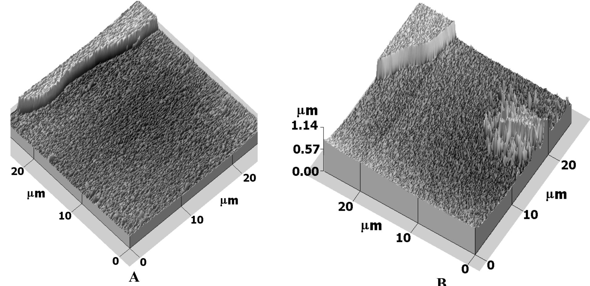 Afm picture of morphology of a damage spot on sample