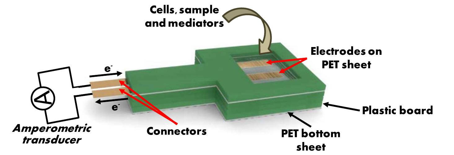 3d modelling of the disposable chip developed by nakamura