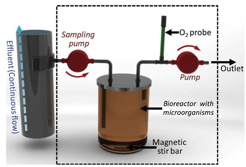 schematic representation of a bioreactor-type biosensor.