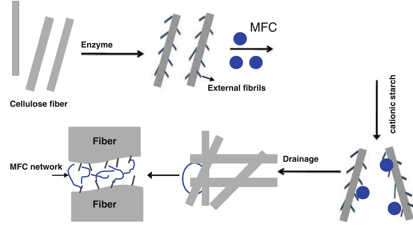 Schematic illustration of the mechanism of paper