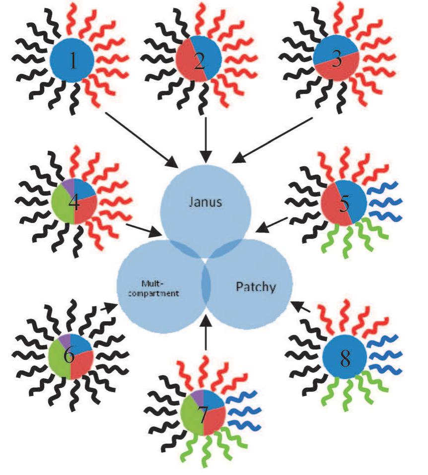 Schematic representation of anisotropic polymer micelles: