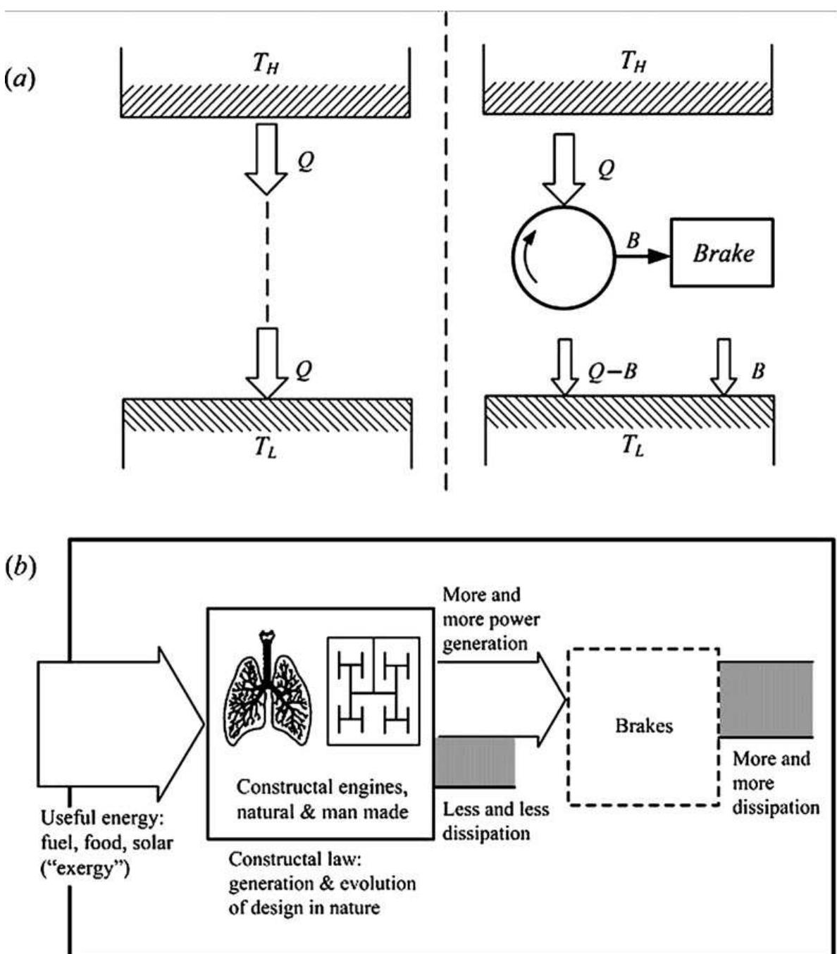The engine + brake design of nature. the constructal law