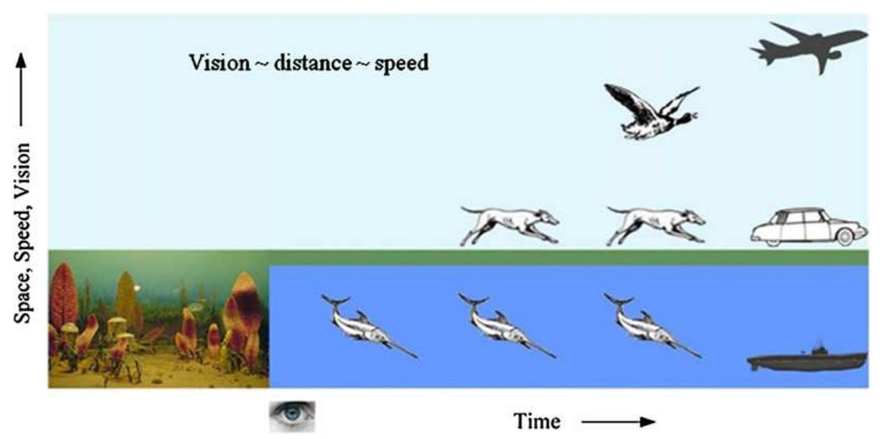 Space, speed and time: the evolution of the biosphere from