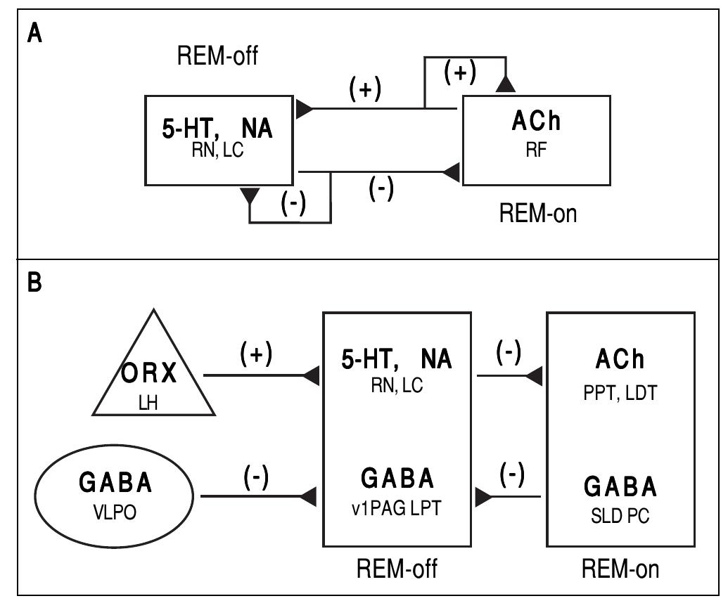 Models of rems regulation. a. first model proposed by hobson