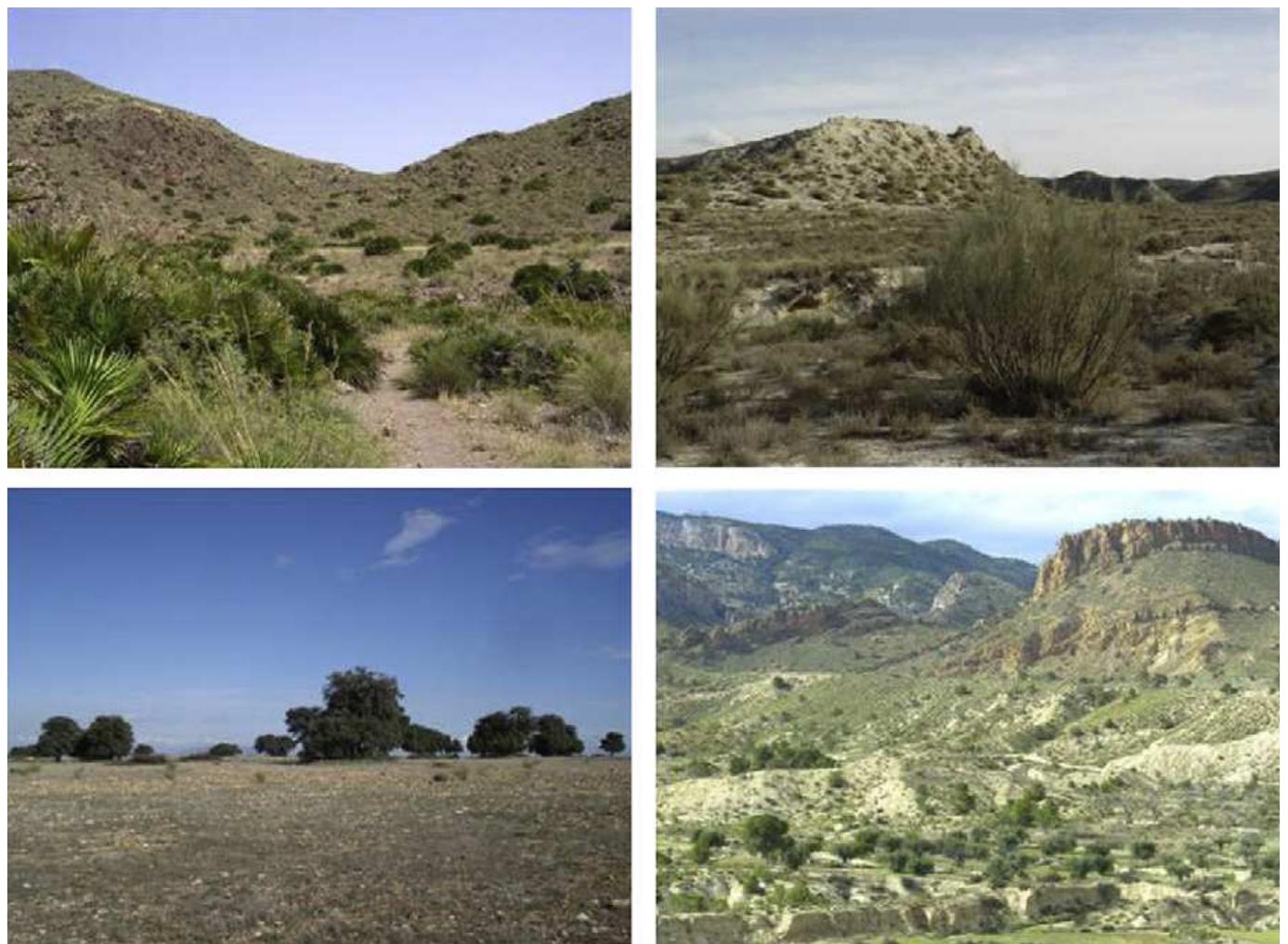 Examples of different landscapes in areas where terrestrial