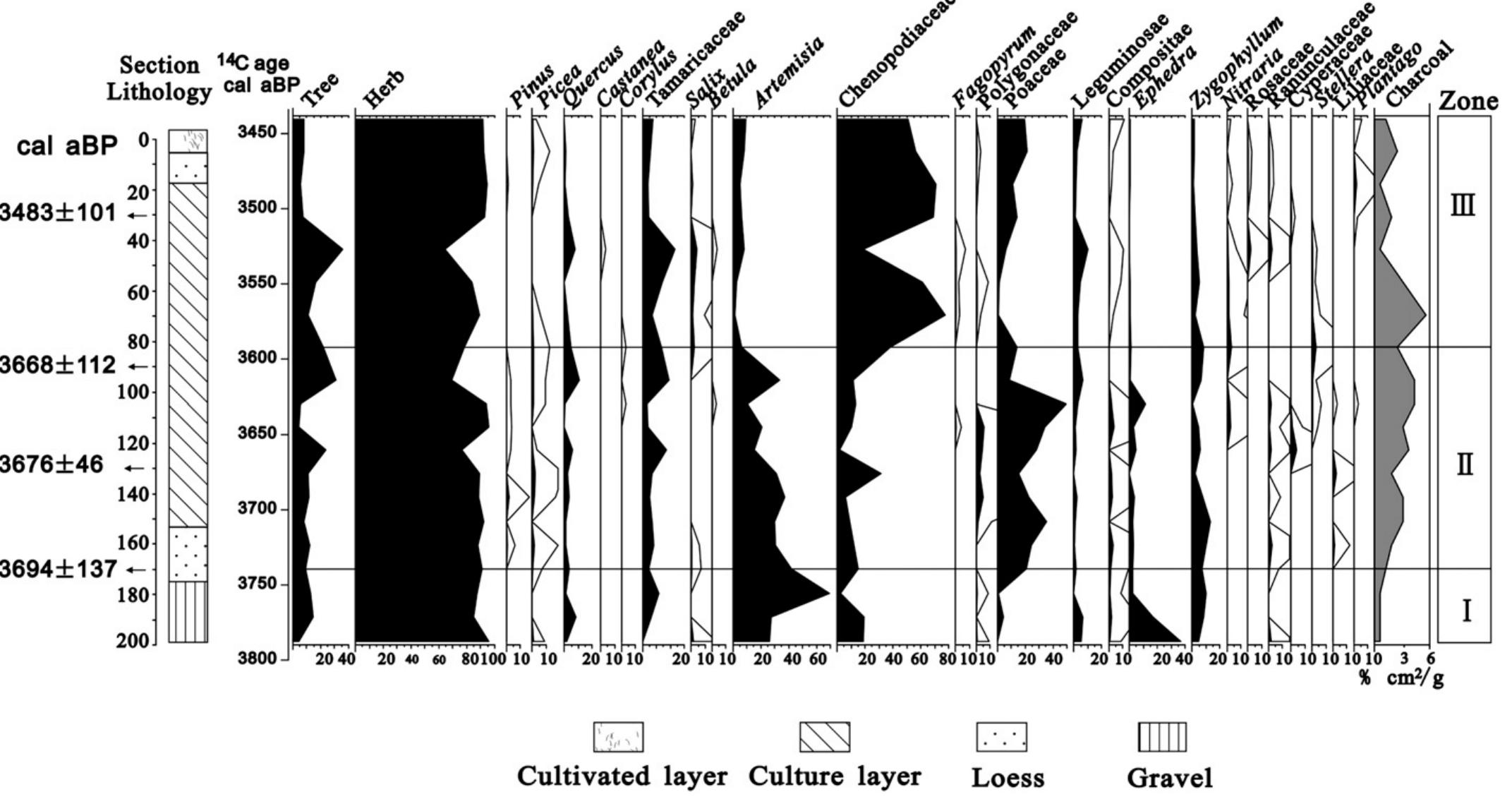Pollen percentage spectrum in the donghuishan section.
