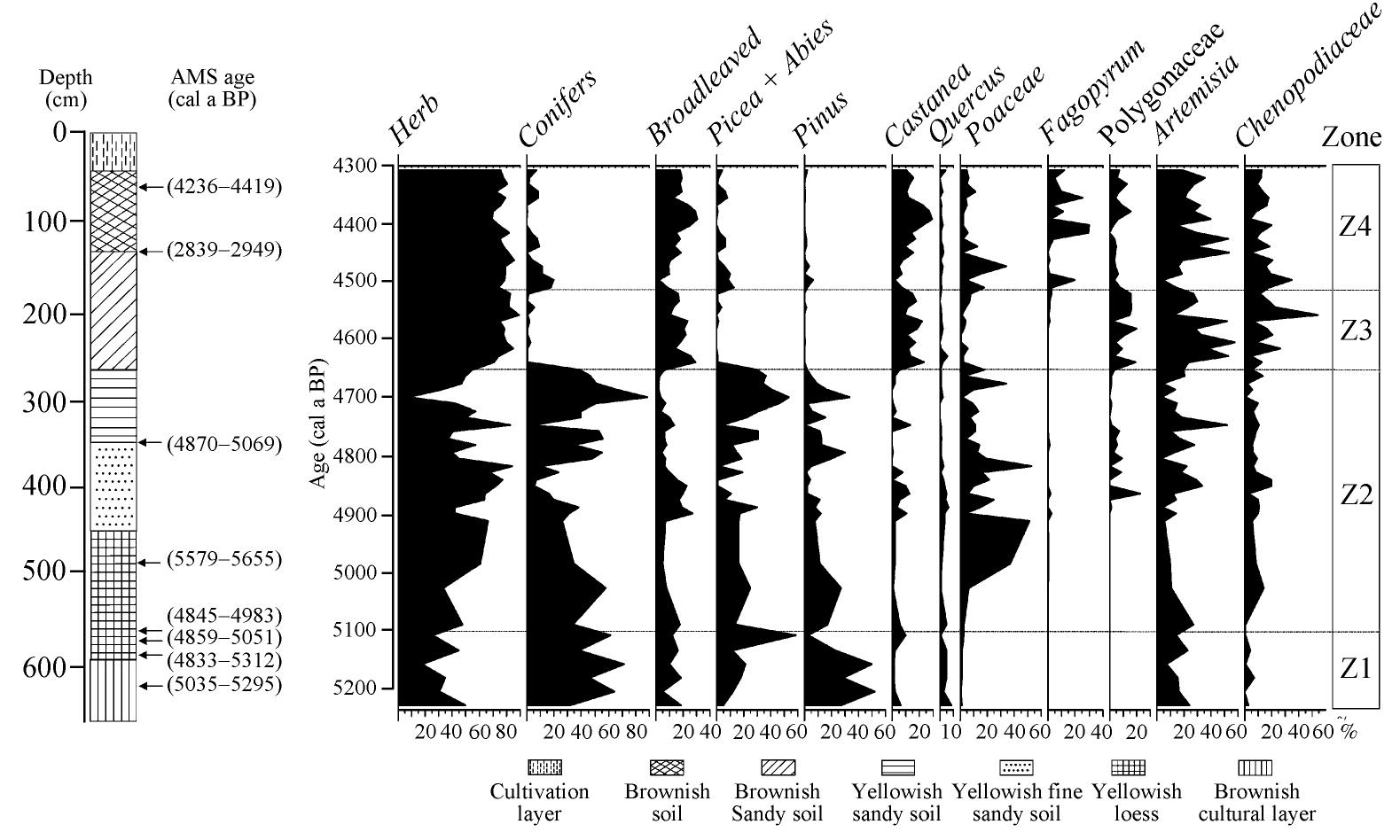 The diagram of main pollen types in xishanping section