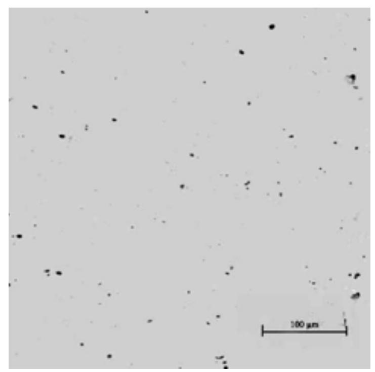 Typical inclusions shapes, sizes and distribution in cast