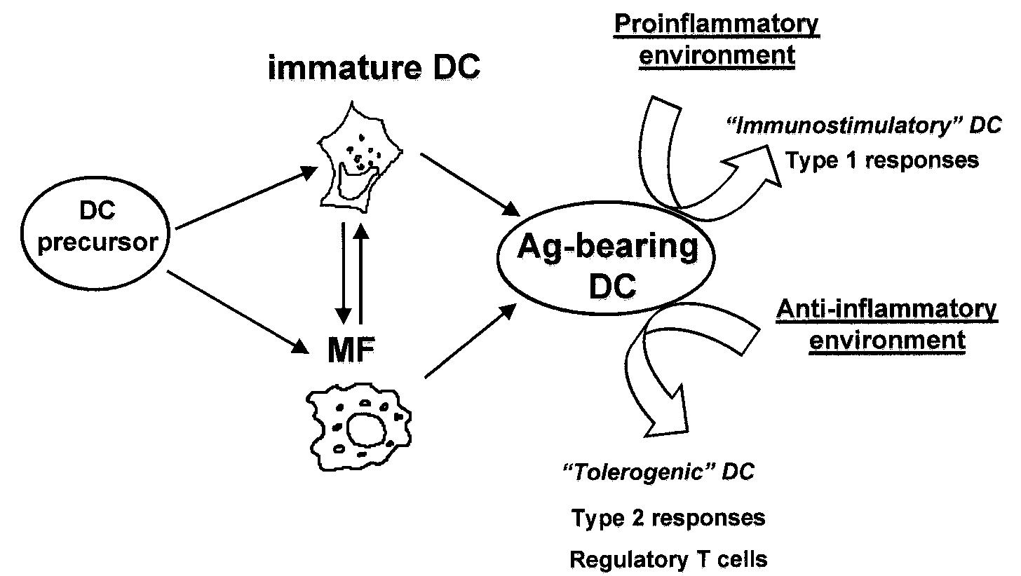 The plasticity of dendritic cells (dcs). according to