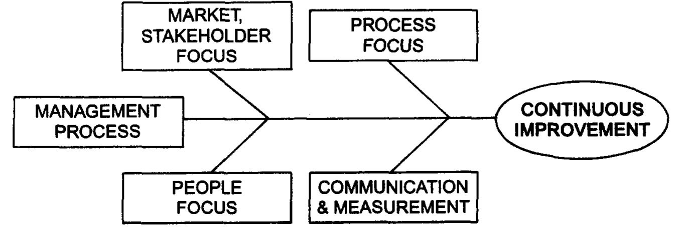 The salient elements of tqm implementation. the adoption of