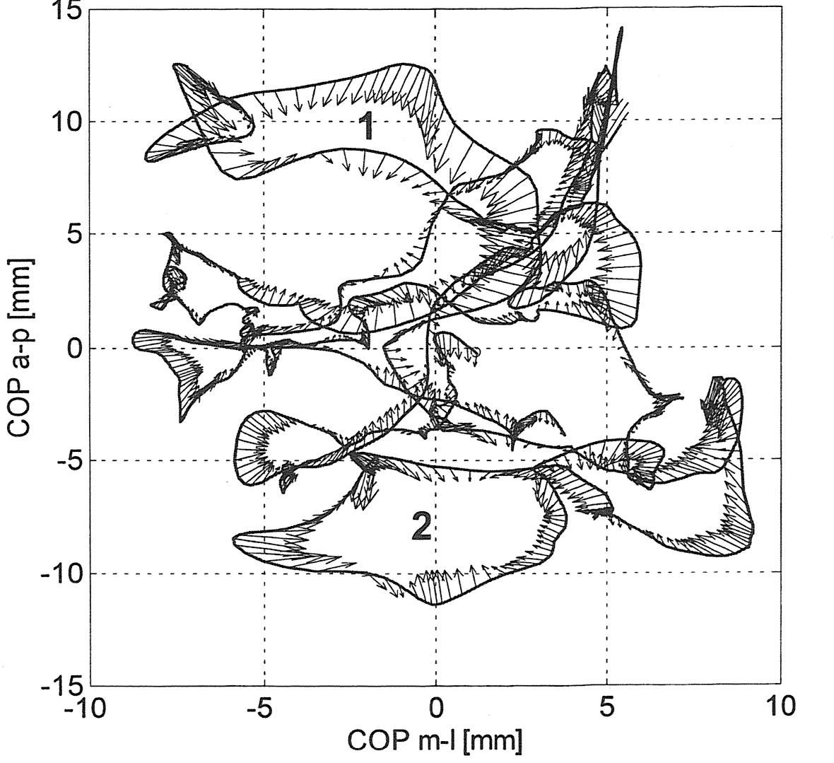 postural force field: 2-d representation of the cop