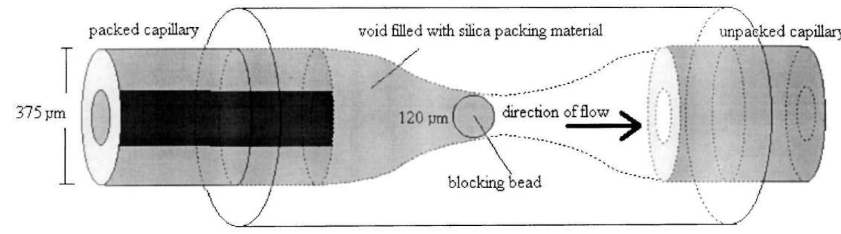 Schematic showing how the capillary, bead and glass taper